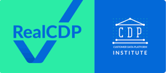 How the right CDP Partner can be Game-Changing? | FirstHive Blog