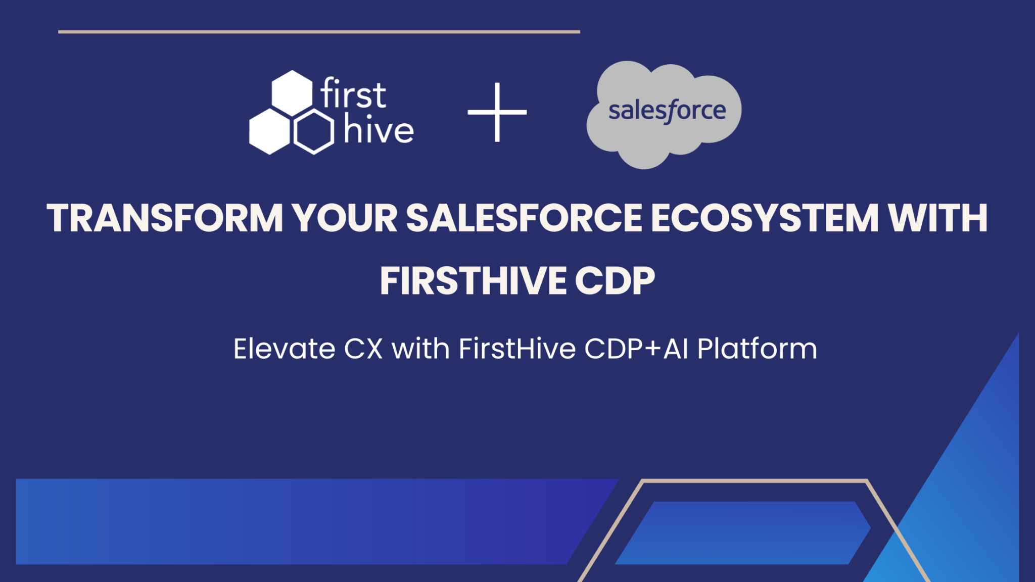 Unleash The Full Power Of Your Salesforce Ecosystem With Firsthive Cdp